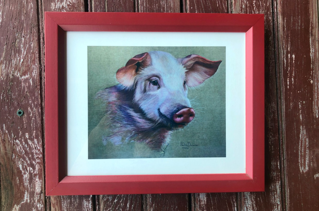 Chantal Poulin Durocher Pig Print | 2022 Lancaster Farm Sanctuary ...