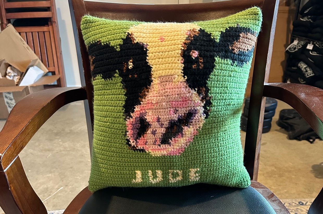 Handmade crochet Jude Pillow! | 2024 Lancaster Farm Sanctuary Auction ...