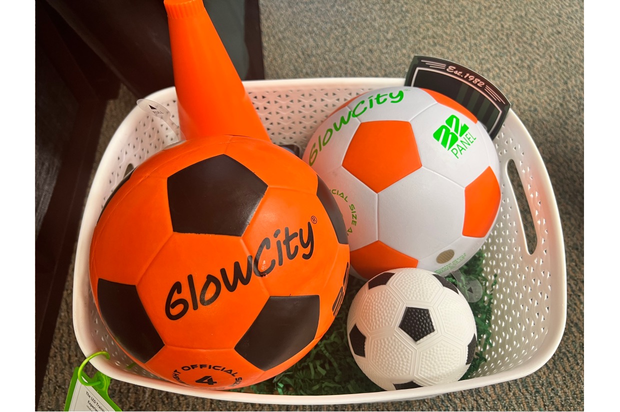 The LED Training Experience | Harbor Soccer Club - Silent Auction 2023 ...