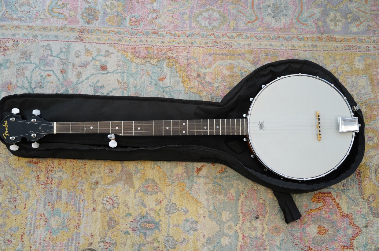 Fender Open-back Banjo | Front Porch Instrument Auction 2024 | The ...