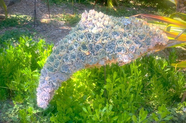 Daphne the Dolphin Topiary | Flamboyance: A Topiary Menagerie | South ...