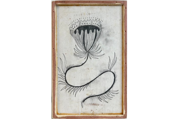 Fictional Flora 3 by Wes Bruce | Bid on our Art Auction! | The New ...