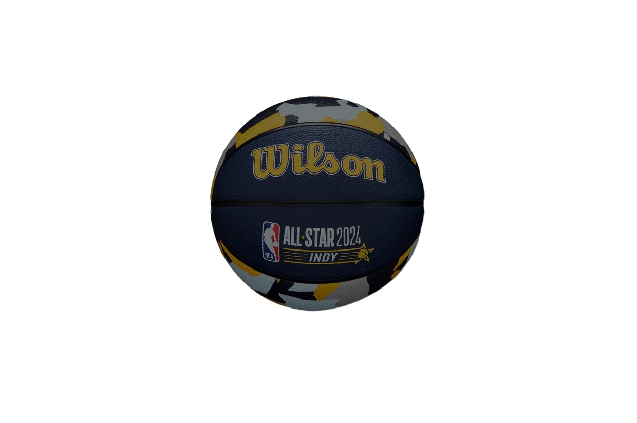 Pacers All Star 2024 Mini Basketball | 2024 United Way Gala Silent ...