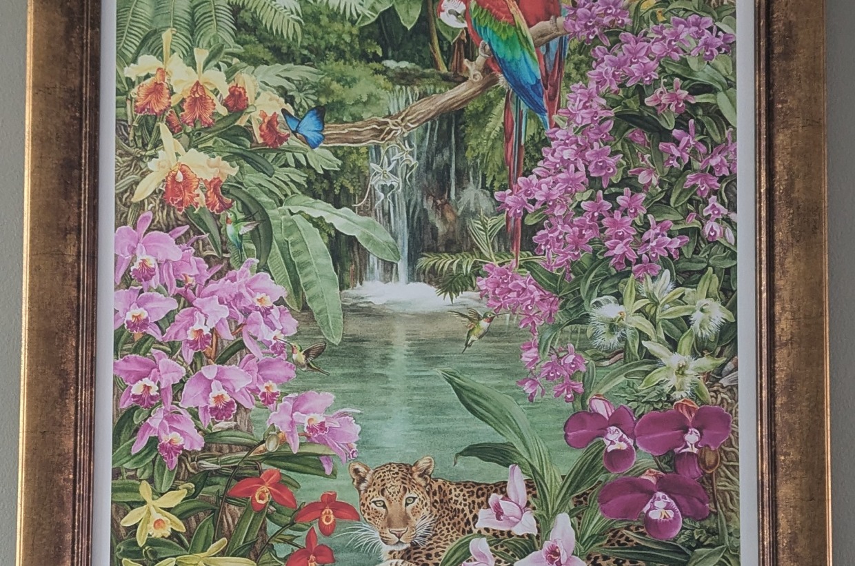 Gorgeous Collector's Item! Signed and framed print of the AOS ...