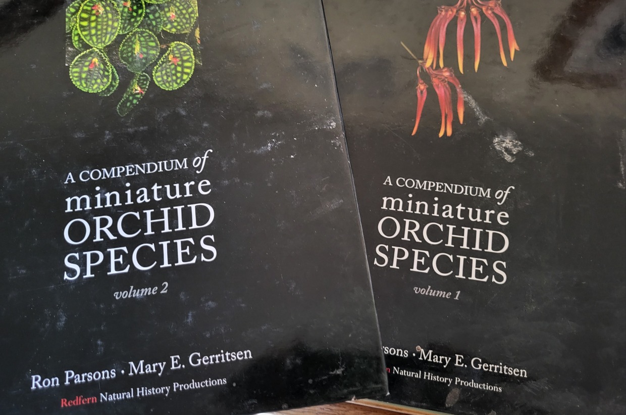 A Compendium of Miniature Orchid Species Volumes 1 & 2 | American ...