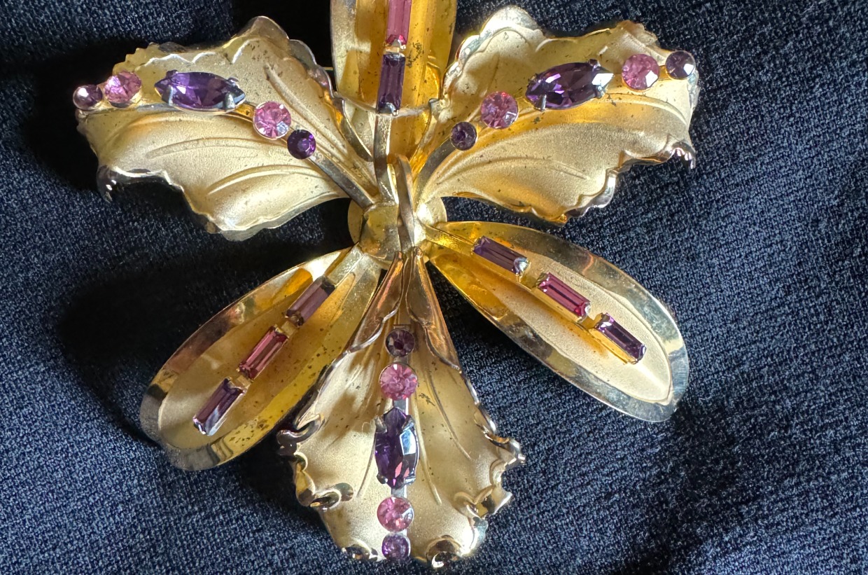Orchid Brooch | American Orchid Society Deb Bodei Memorial Fall Auction ...