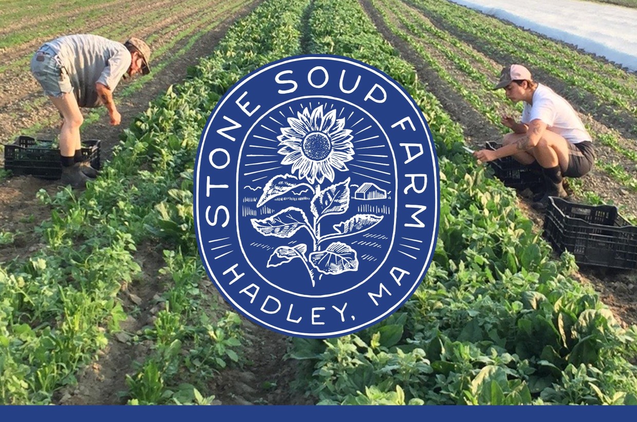 Stone Soup Farm Summer 2025 Veggie Farm Share | Farm-to-Table | The ...