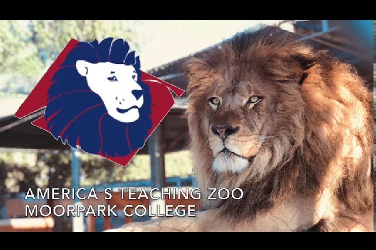 America's Teaching Zoo at Moorpark College | Little Angels Project ...