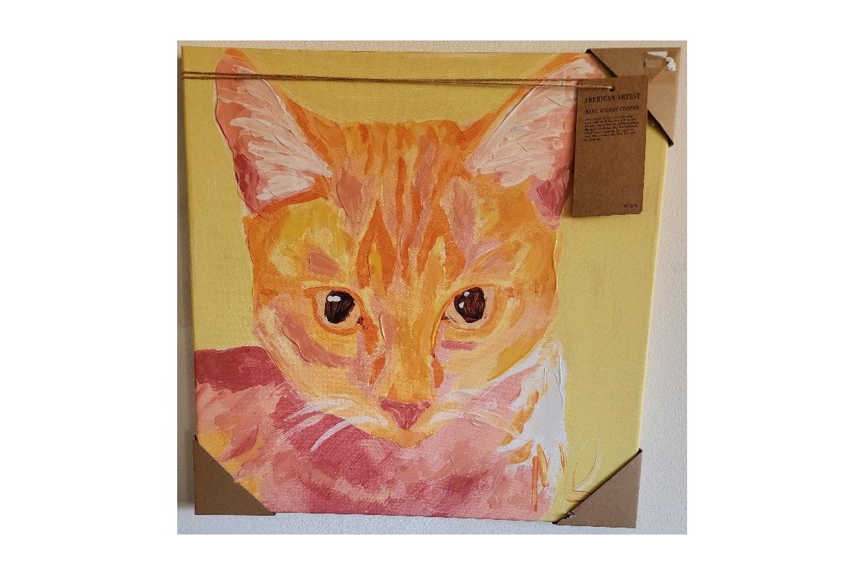 Mary August Cooper Orange Tabby | Little Angels Project Fundraiser ...