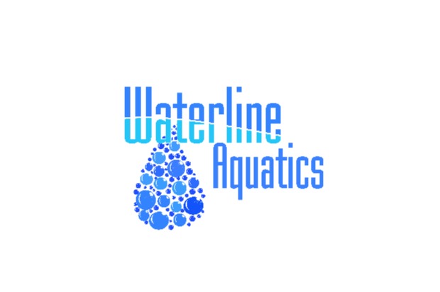 Waterline Acquatics Pool Opening | Growing Together 2024 | Remington ...