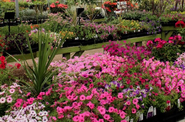 #46: Opt Outside | Explore Dance Company "Libertas" Silent Auction ...