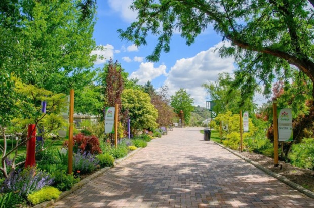 #46: Opt Outside | Explore Dance Company "Libertas" Silent Auction ...