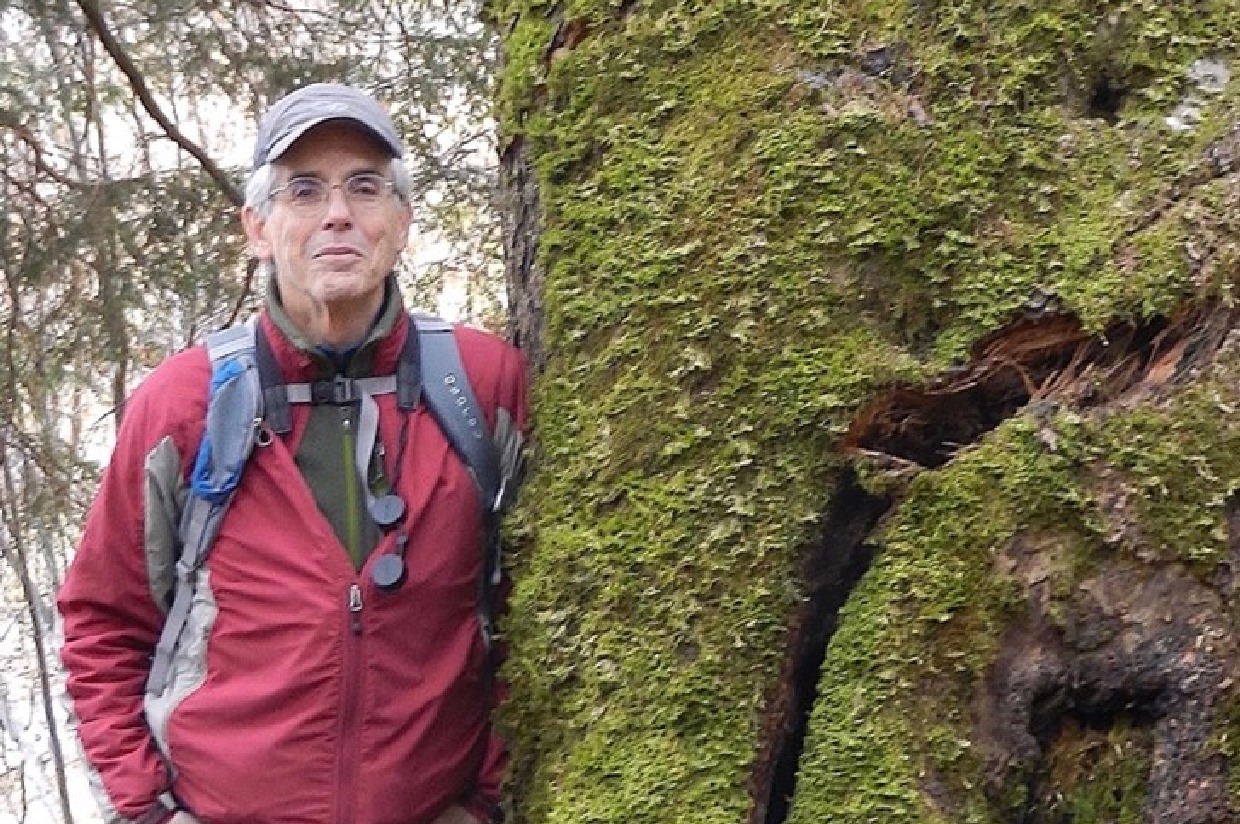 Old Growth Forest Exploration with Naturalist John Bates | Wisconsin's ...