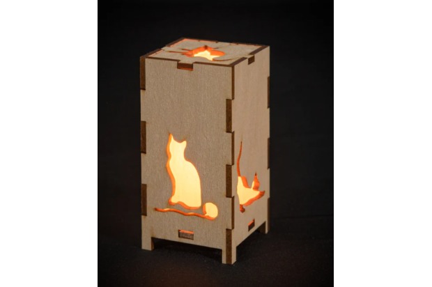 Handcrafted Cat Lanterns | Raise Your PAWS for a Cause | Ten Lives Cat ...
