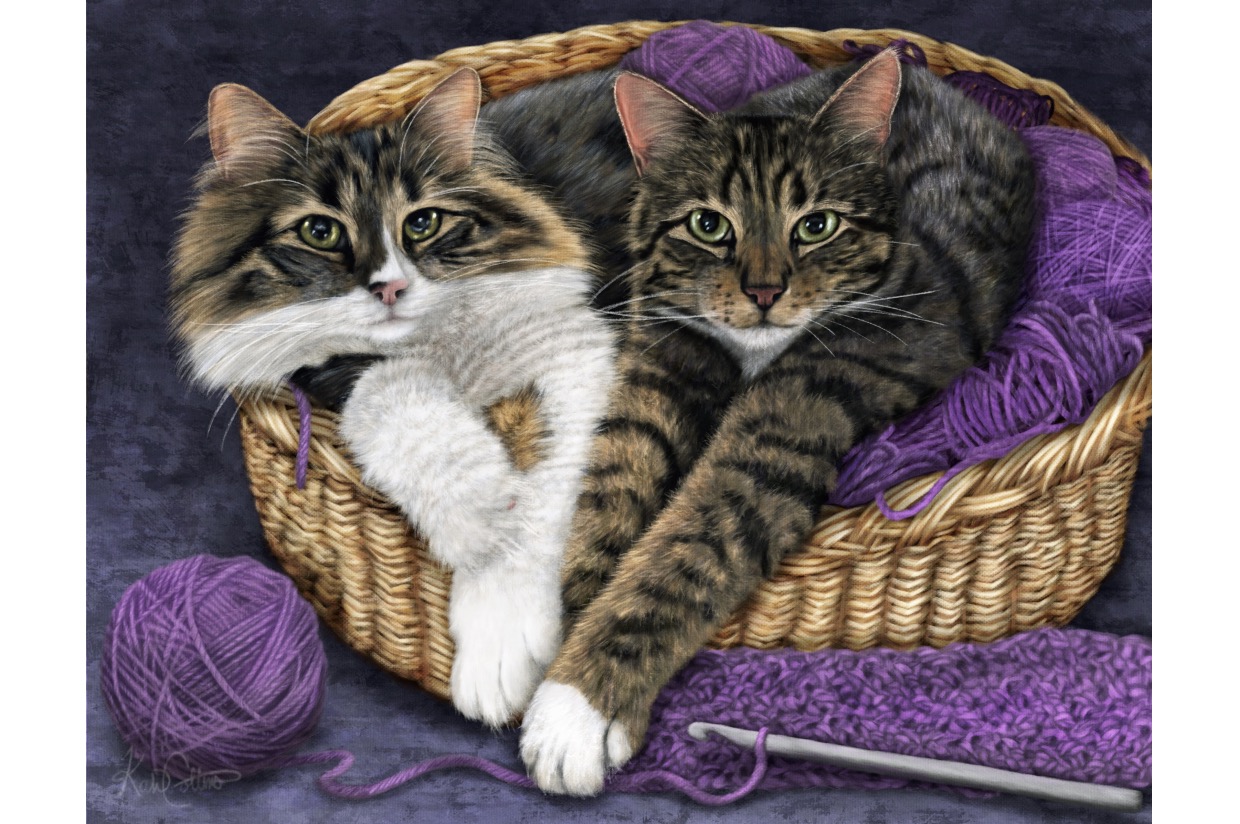 September Model | Friends of Ten Lives 2025 Calendar | Ten Lives Cat ...