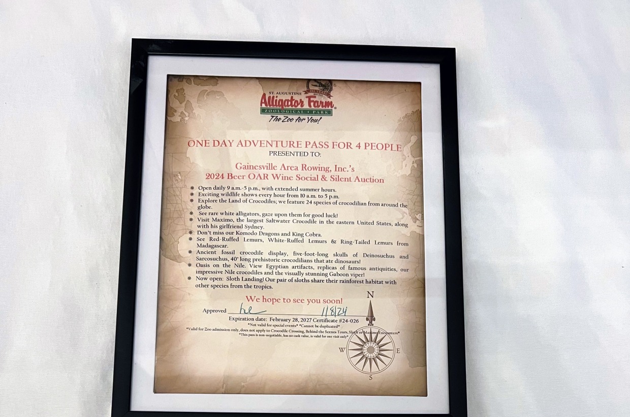 #09 - 🐊 Alligator Farm Adventure Experience $150 | GAR Silent Auction ...