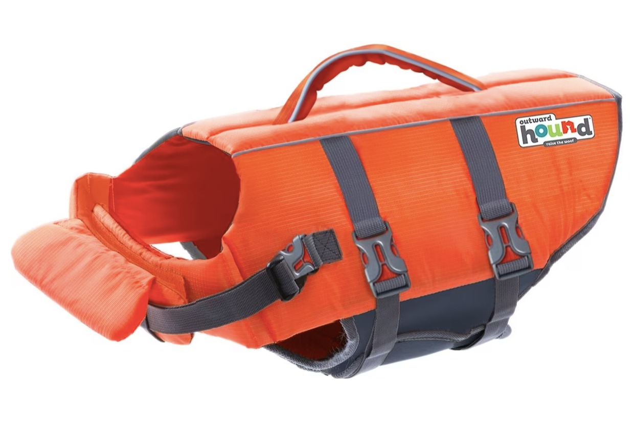 X-Small Dog Life Jacket | PCHS Share the Love Silent Auction 2024 ...