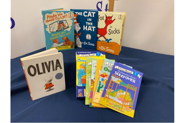 Kids Book Set #3 - Beginning Reader Books | Night at the Derby: St ...