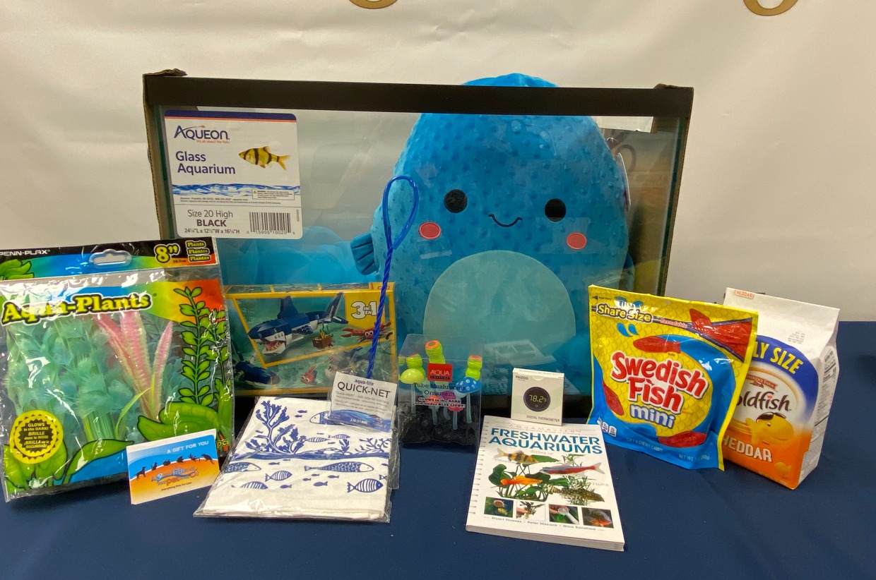 Aquarium Basket | Around the World: St. John the Baptist's Online ...