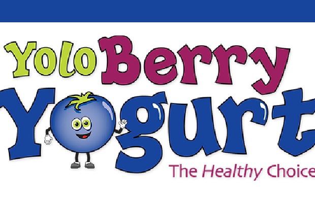 Yolo Berry - Frozen Desserts Party for 20 package | DCCNS Together We ...