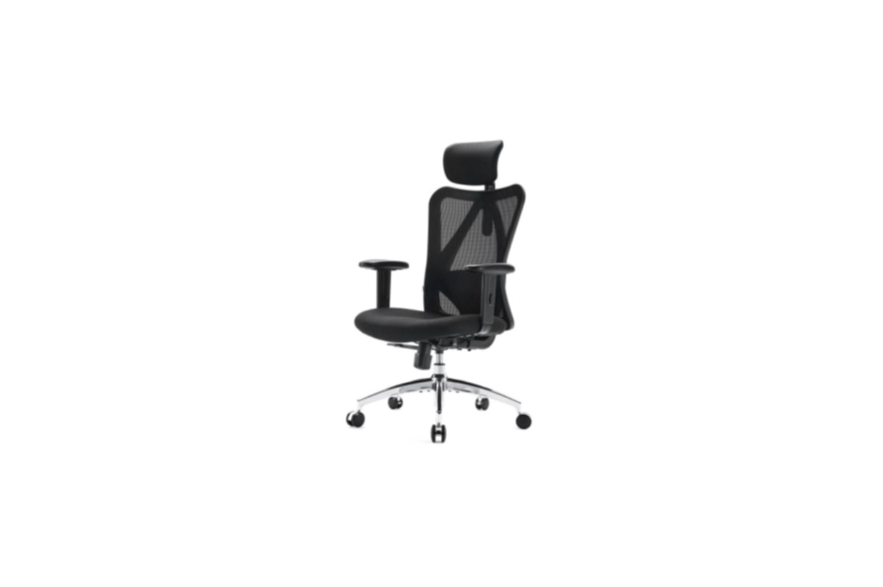 SIHOO Ergonomic Chair — Farm Feral Stray Auction for Balsam Lake and ...