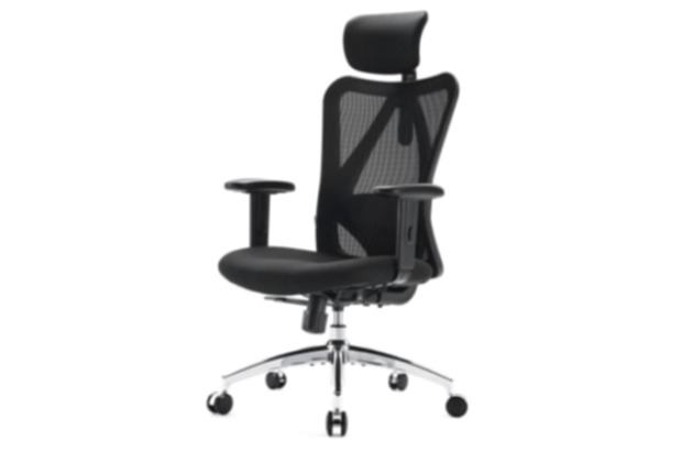 SIHOO Ergonomic Chair | Farm Feral Stray Auction for Balsam Lake and ...