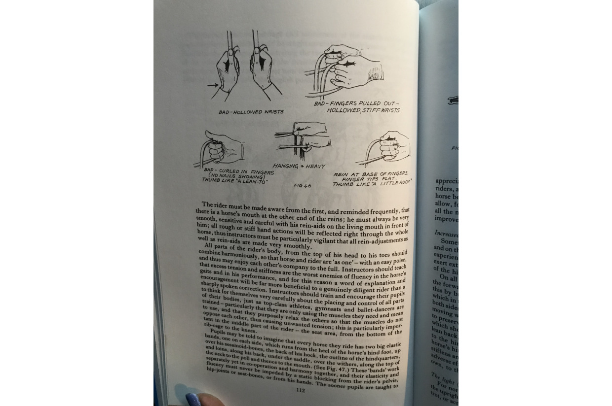 Thinking Riding. Alois Podhajsky. | Lilo Fore’s library | california ...