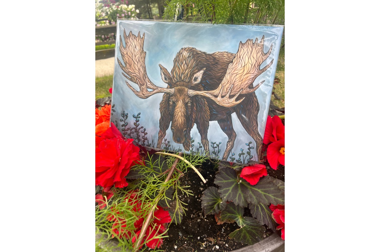 Prints by Amanda Rose Warren | Champions of the Wild Silent Auction ...