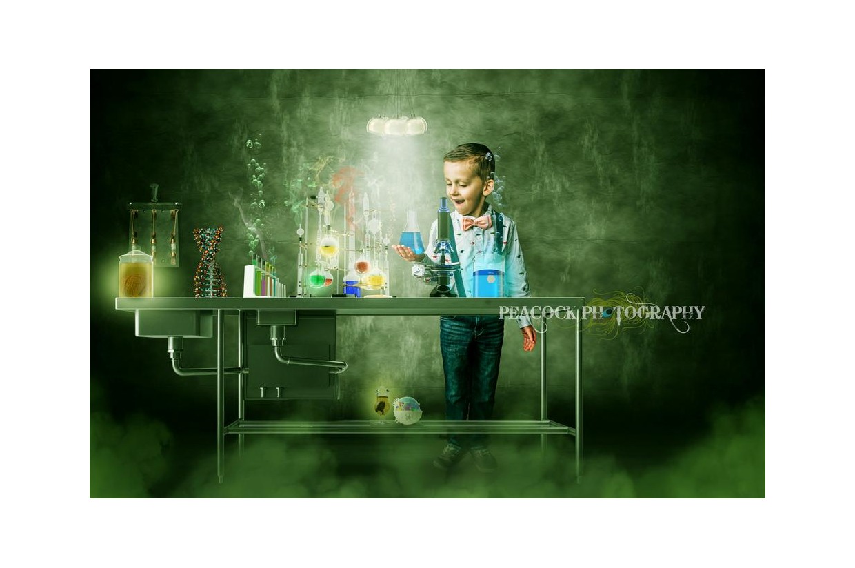 Peacock Photography | 2023 Sandpiper Silent Auction | Sandpiper ...