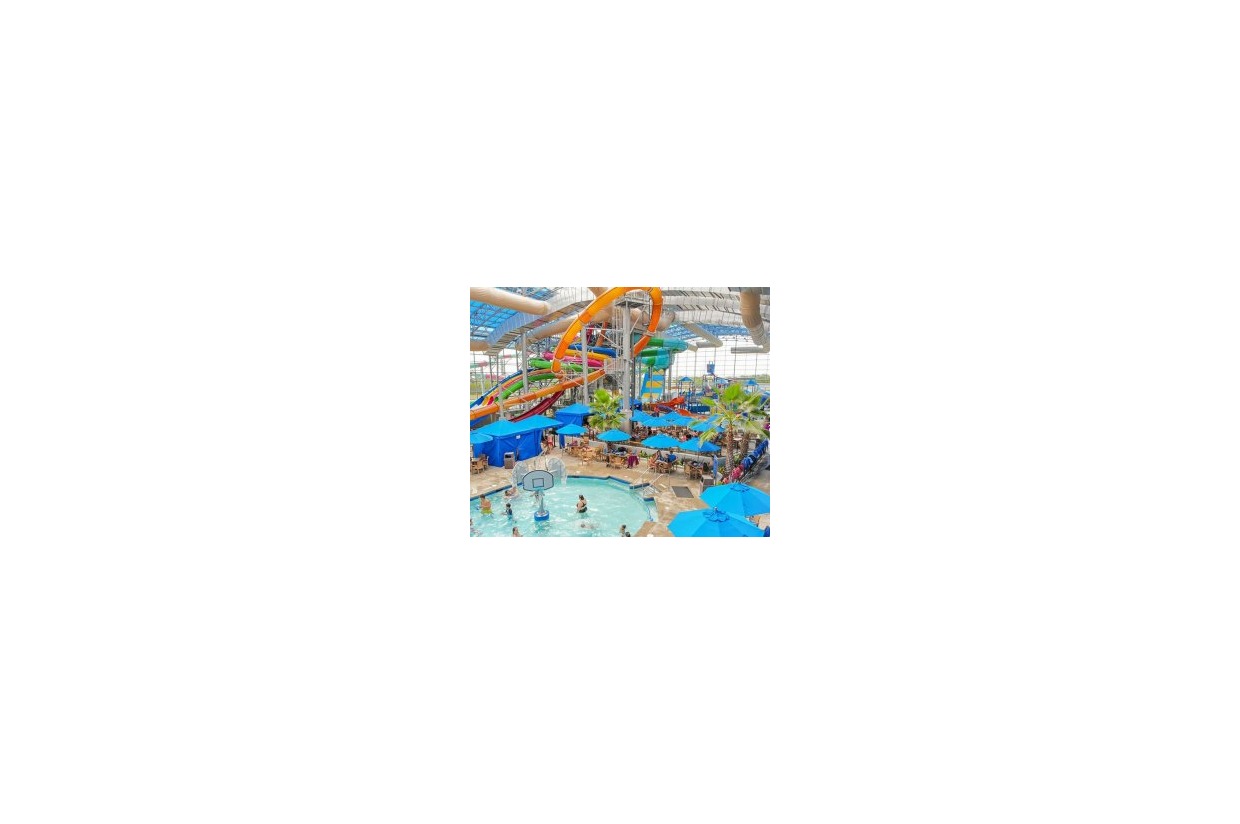 Epic Waters Grand Prairie, TX | 2023 Autism Foundation Charity Auction ...