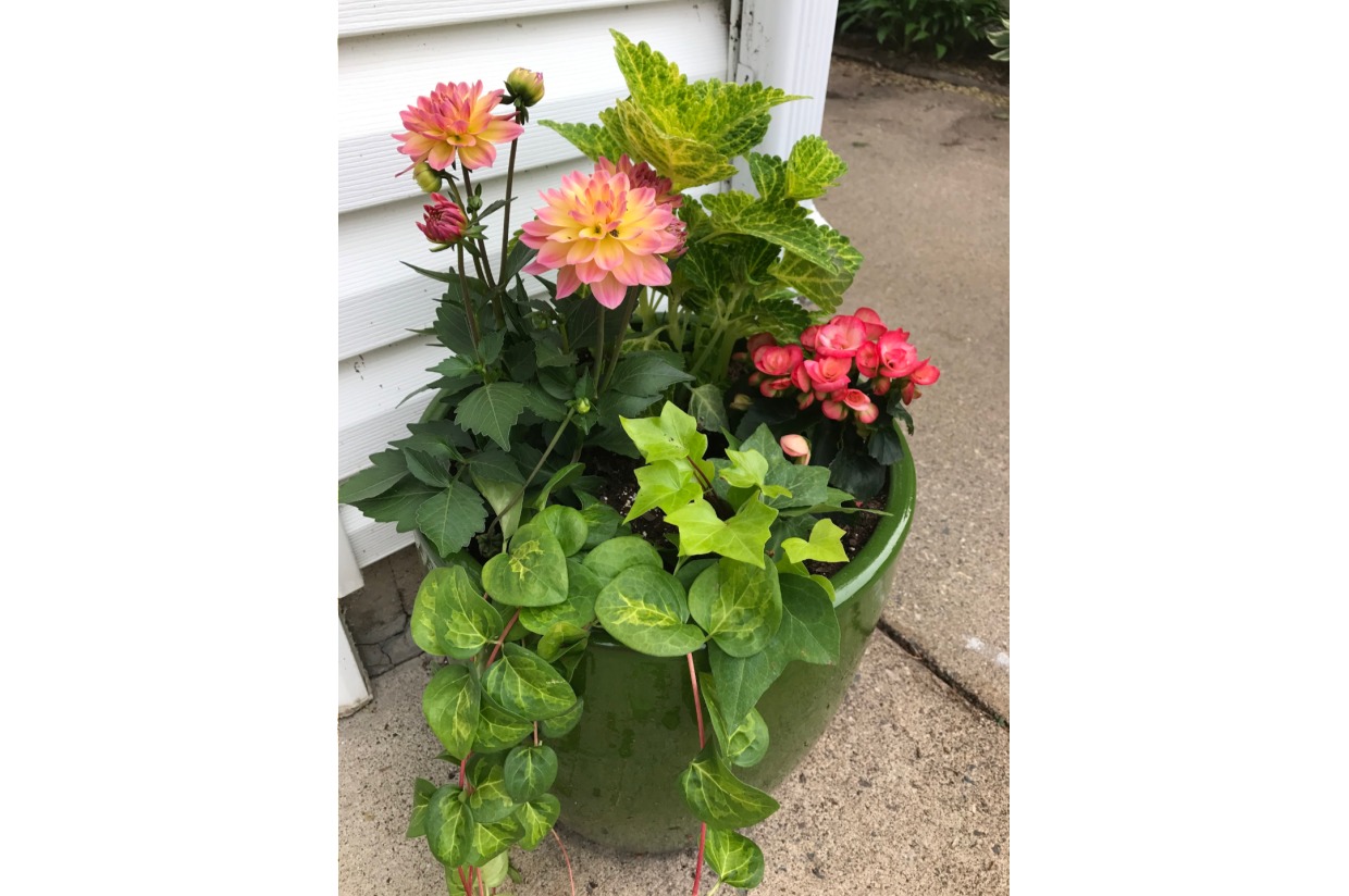 Two custom-filled planters | Susan Lindgren PTO's 2024 Spring Silent ...