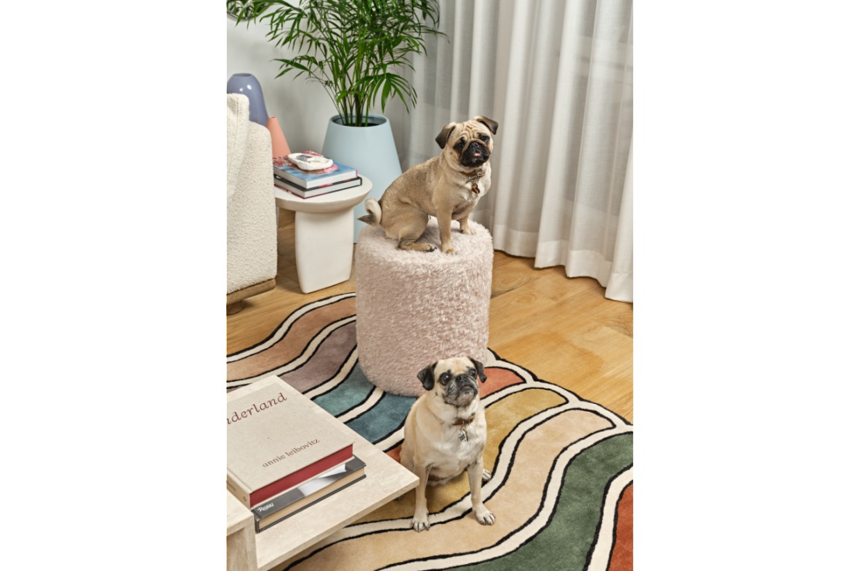 At-Home Pet + Companion Photo Session with acclaimed photographer ...
