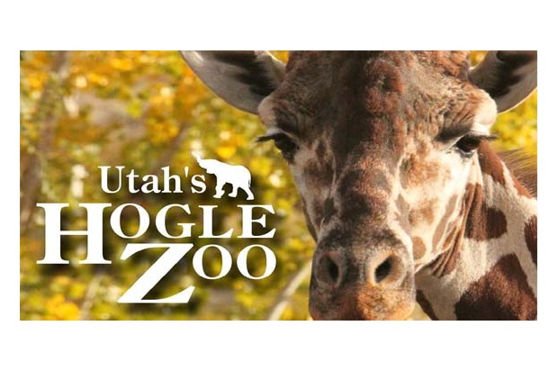 #48 Hogle Zoo | The Utah Climb 2024 | PSI Utah | BetterWorld