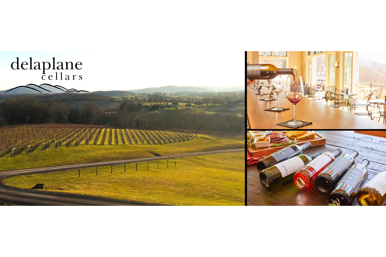 Elevated Tasting and Barrel Tasting at Delaplane Cellars for Six Guests ...