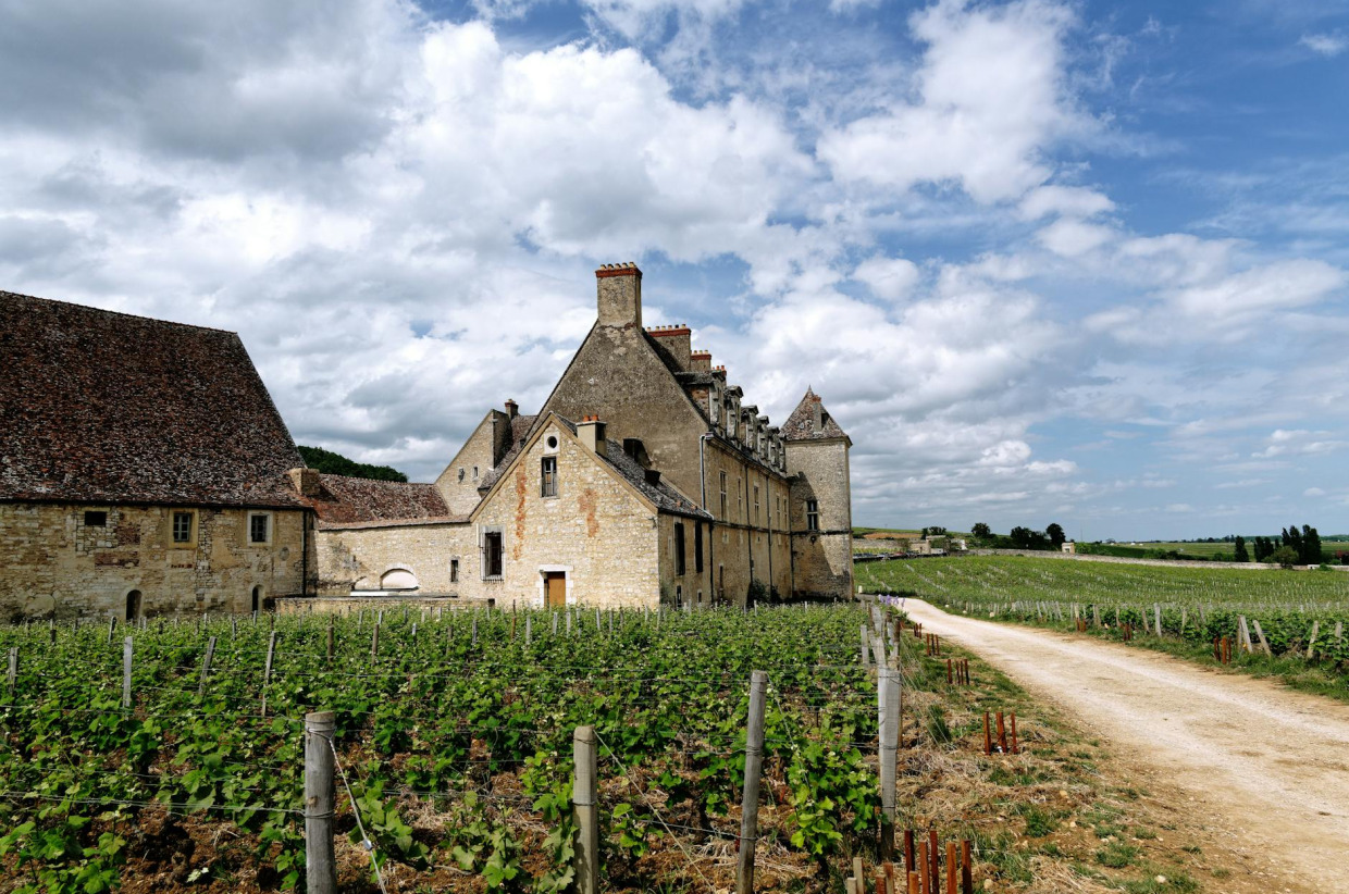 Seven Day Wine Vacation to Burgundy, France With an Expert Sommelier ...