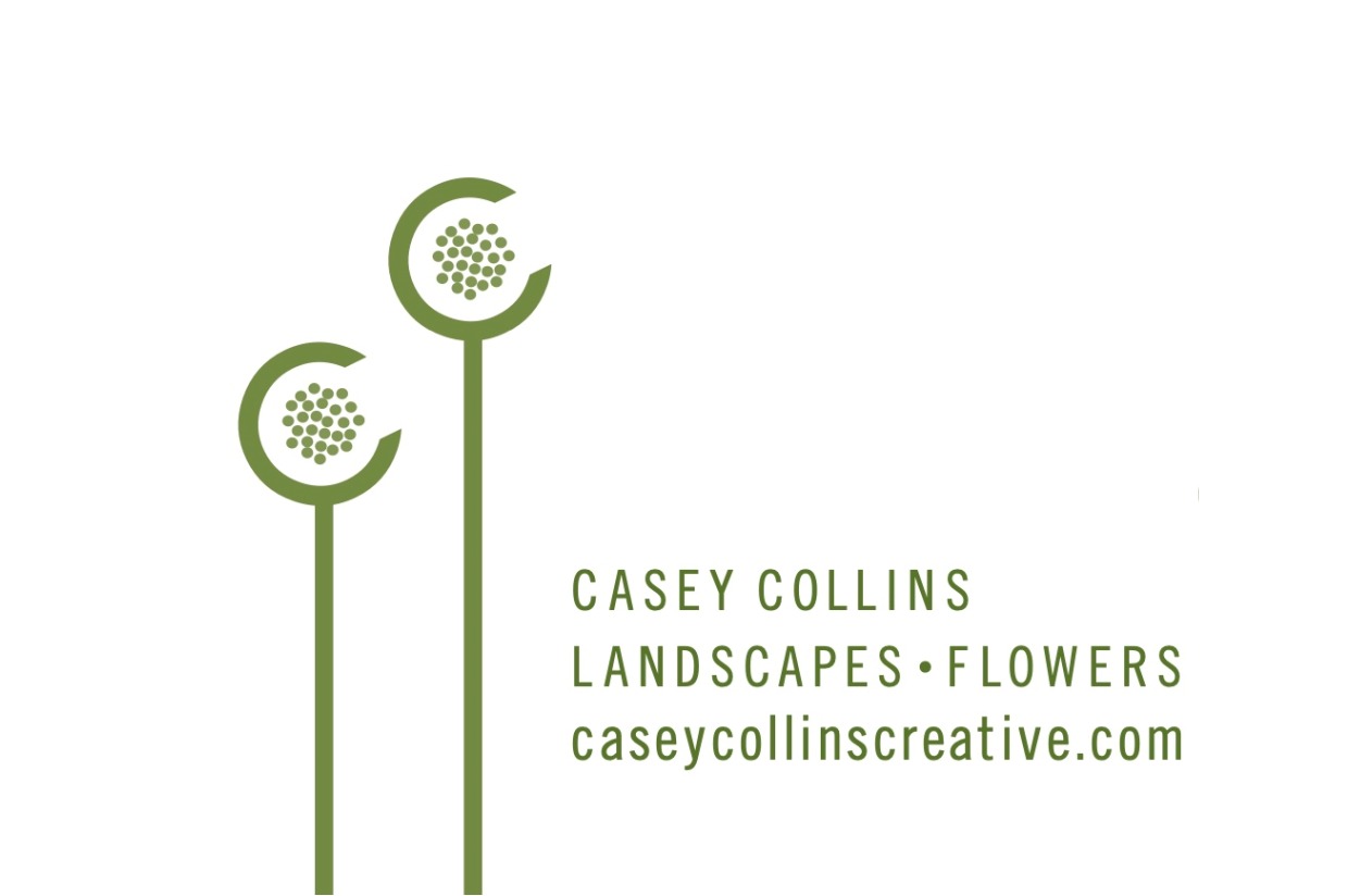 Casey Collins Landscaping + 5 Gardening Books from UNC Press + Meg ...