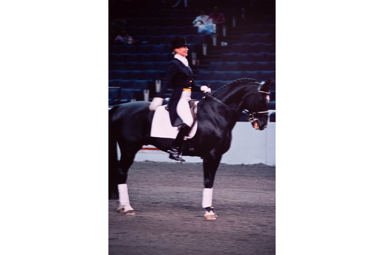 Competition: Hunters/Jumpers/Eventers; Washington International Horse ...