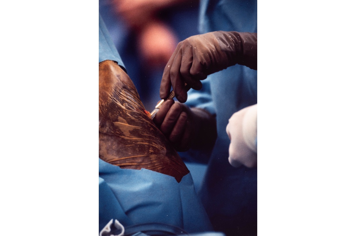 Support Services: Veterinarians/Surgeons; Dr. Laurie Goodrich, DVM ...