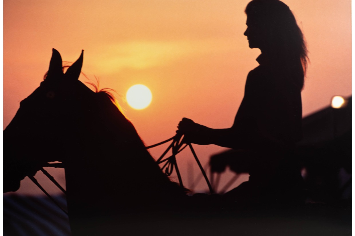 Professional Trainer In An Early Morning Schooling Session, Junior ...