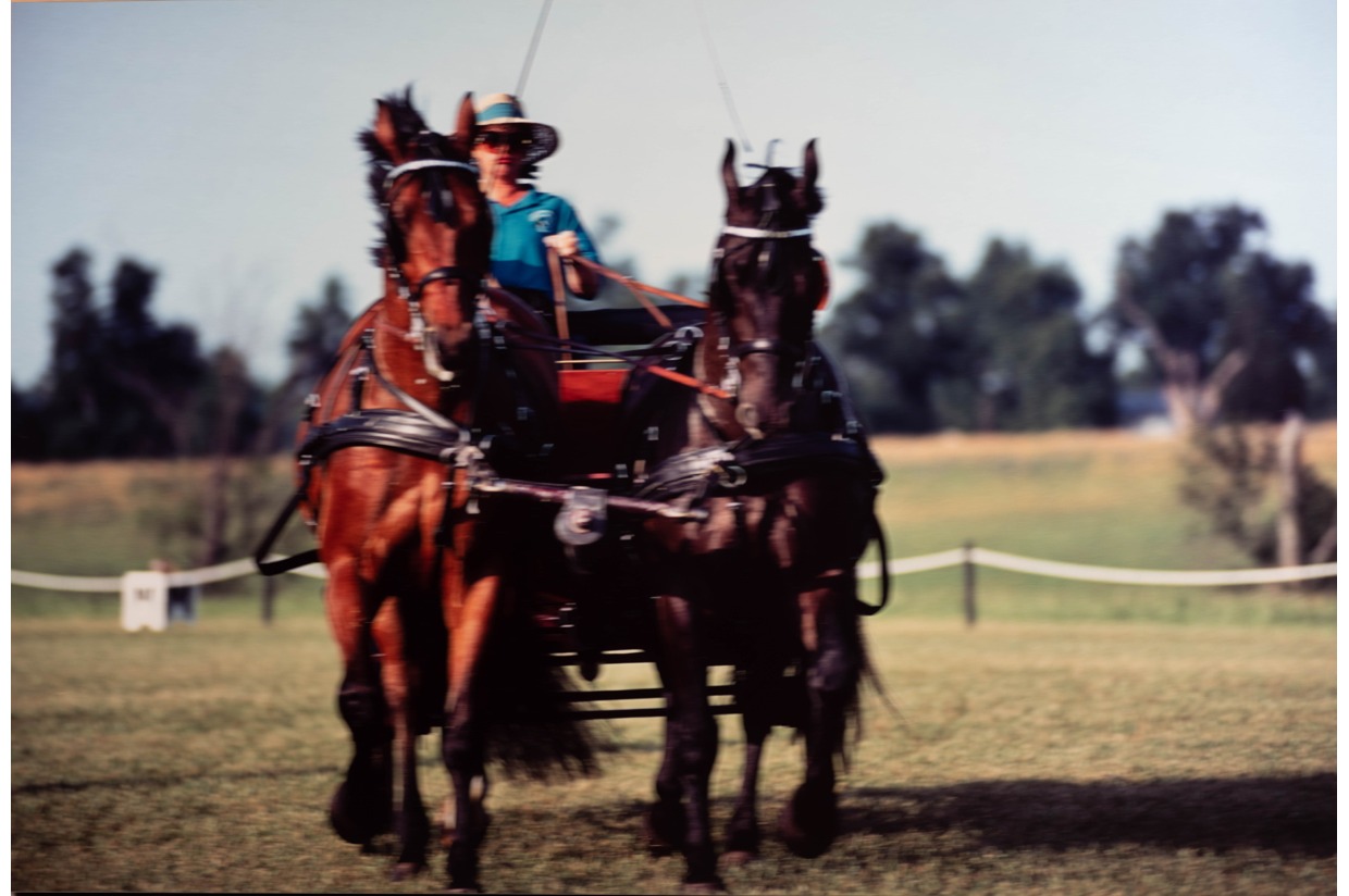 Driving Competitor, Trainer, and Instructor, Debbie Banfield, Gayla ...