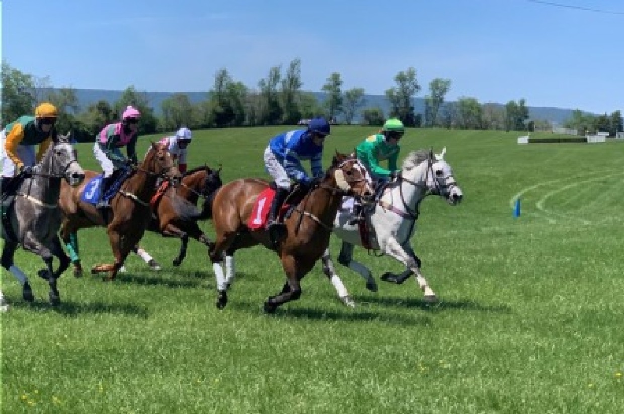 Exclusive Middleburg Spring Races Experience | 2025 NSLM Polo Classic ...
