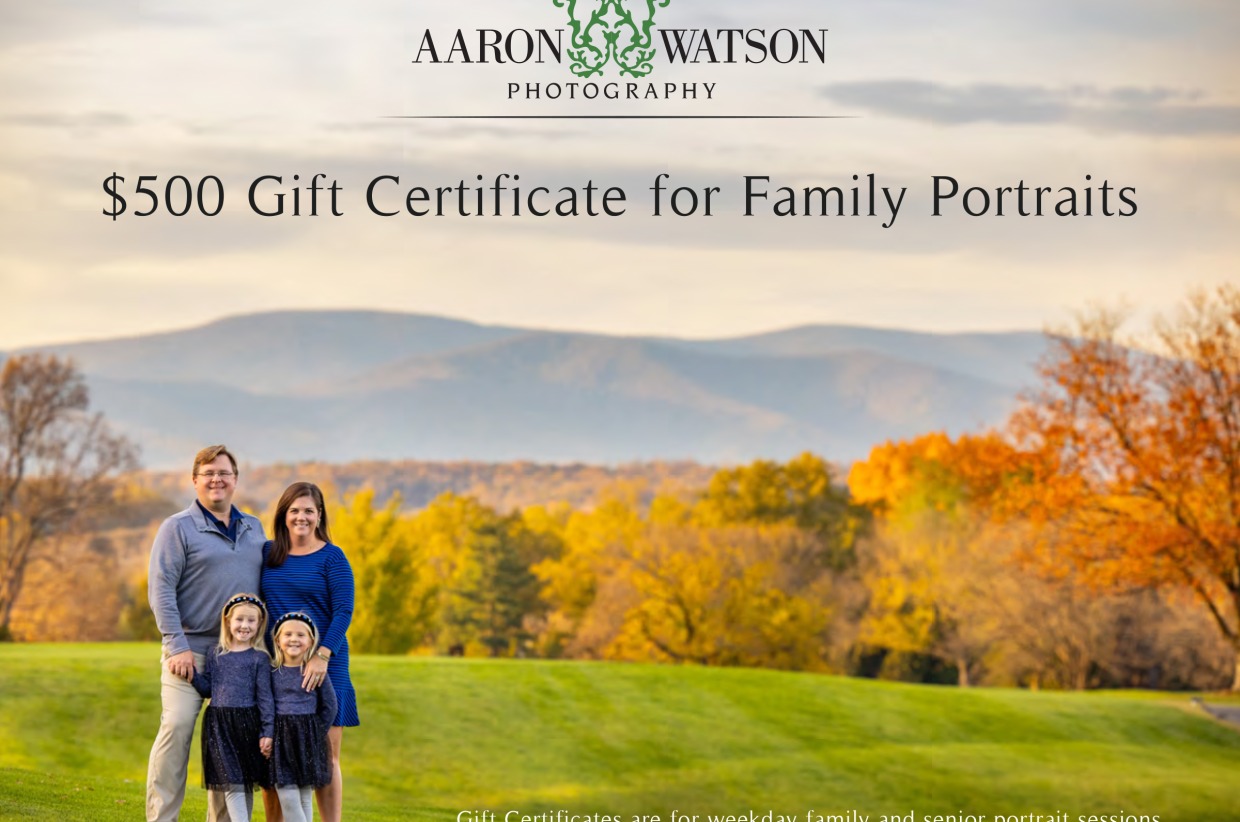 Aaron Watson Photography Exclusive: Family Portrait or Senior Portraits ...