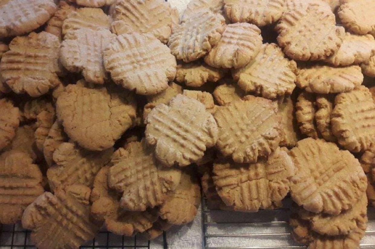 Chocolate Chip and Peanut Butter Cookies - 4 dozen! (Lot 1) | 10th ...