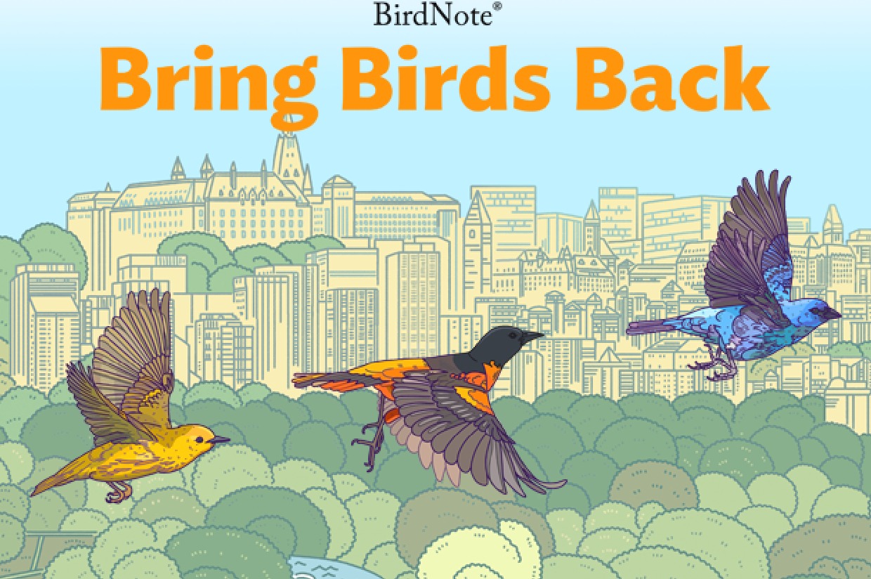 BirdNote Bundle | 2024 Travel Conservation Auction | Adventure Travel ...