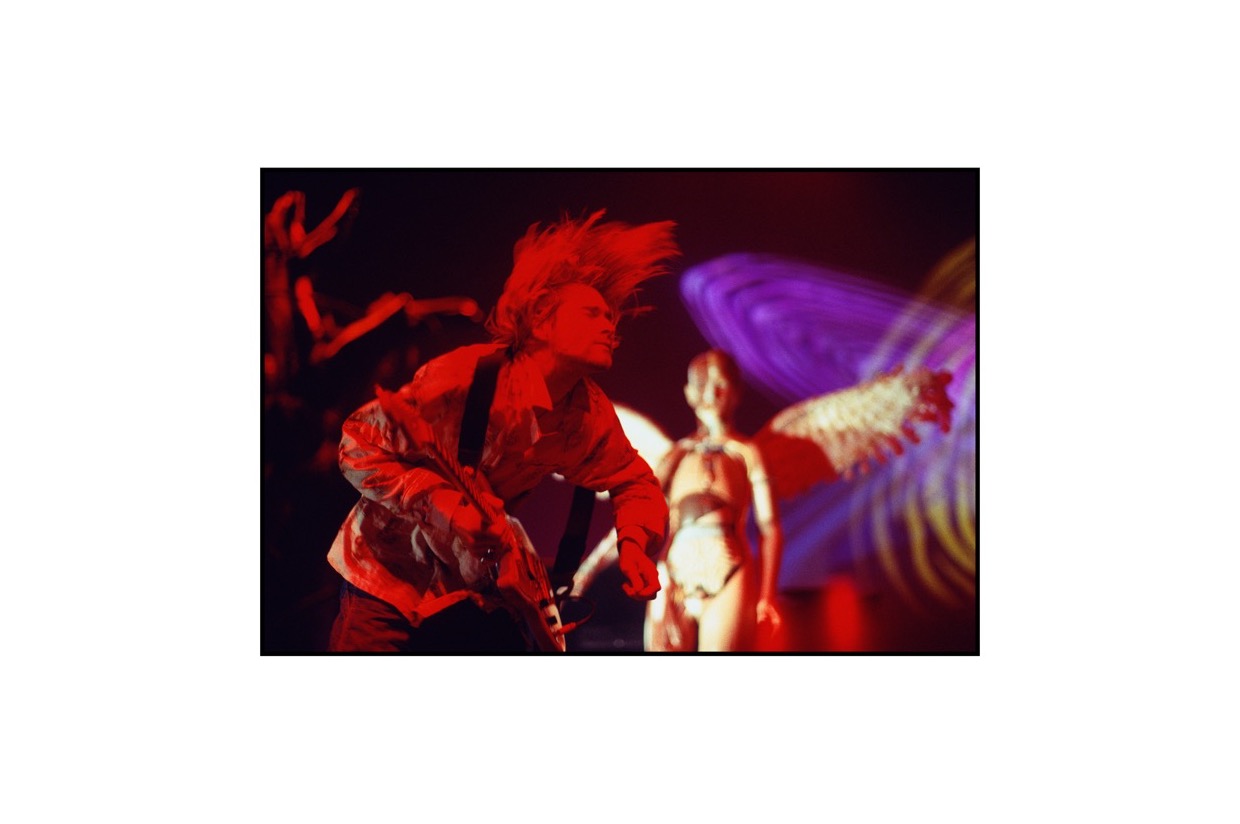 Kurt Cobain — 2021 Artists for Wildlife Conservation Auction — Artists ...