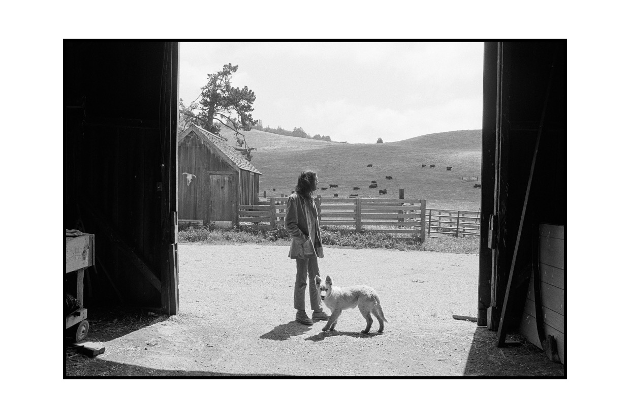 Neil Young Barn Door | 2023 Artists for Wildlife Conservation Auction ...