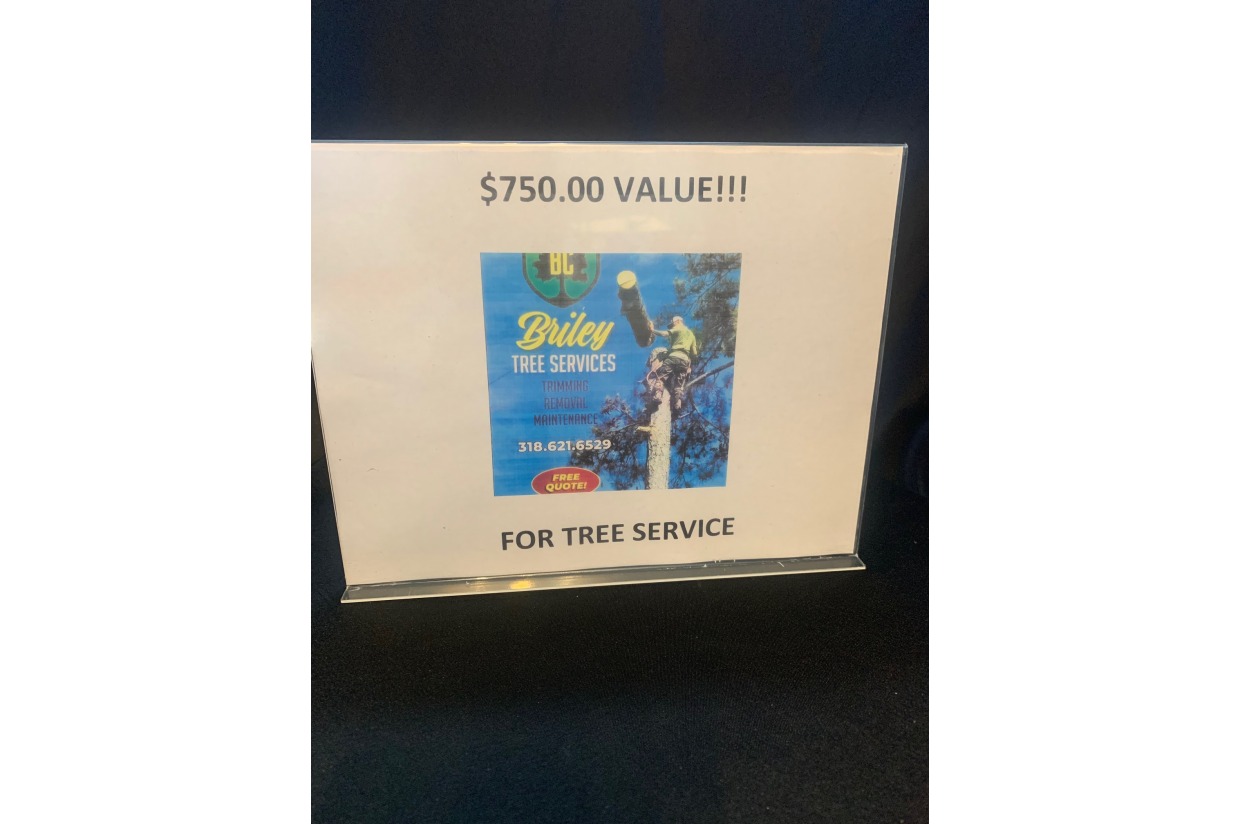 #702 Briley Tree Services $750 Value | Roy's Kids Annual Auction 2025 ...