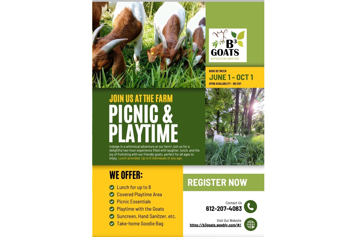 Goat Picnic & Playtime Offered By B3 Goats Mitigation Service | The ...