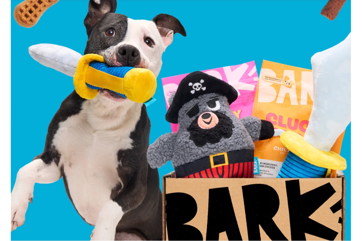 1 Month Free Bark Box | Lives Restoried Gala 2024 | Charis Eating ...