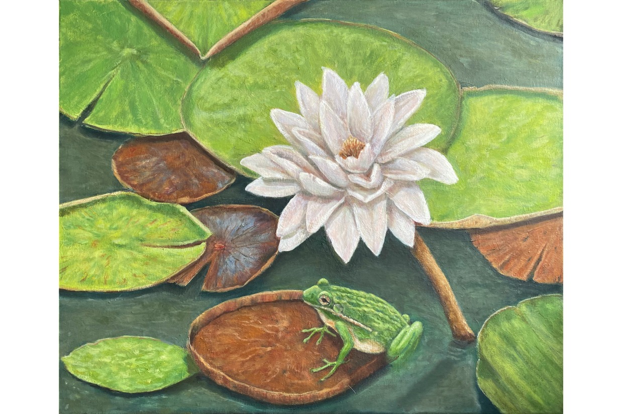 Frog Among the Lily Pads - Kathy Ramirez | Gallery Ekolu | Artists for ...